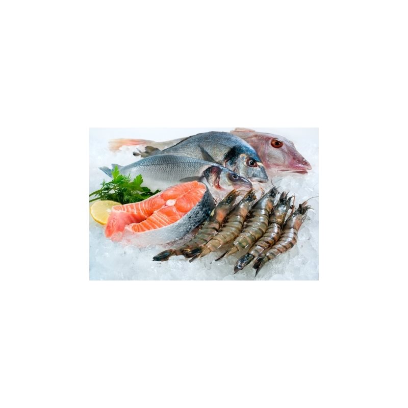 Frozen Seafood - Thai United Food Trading
